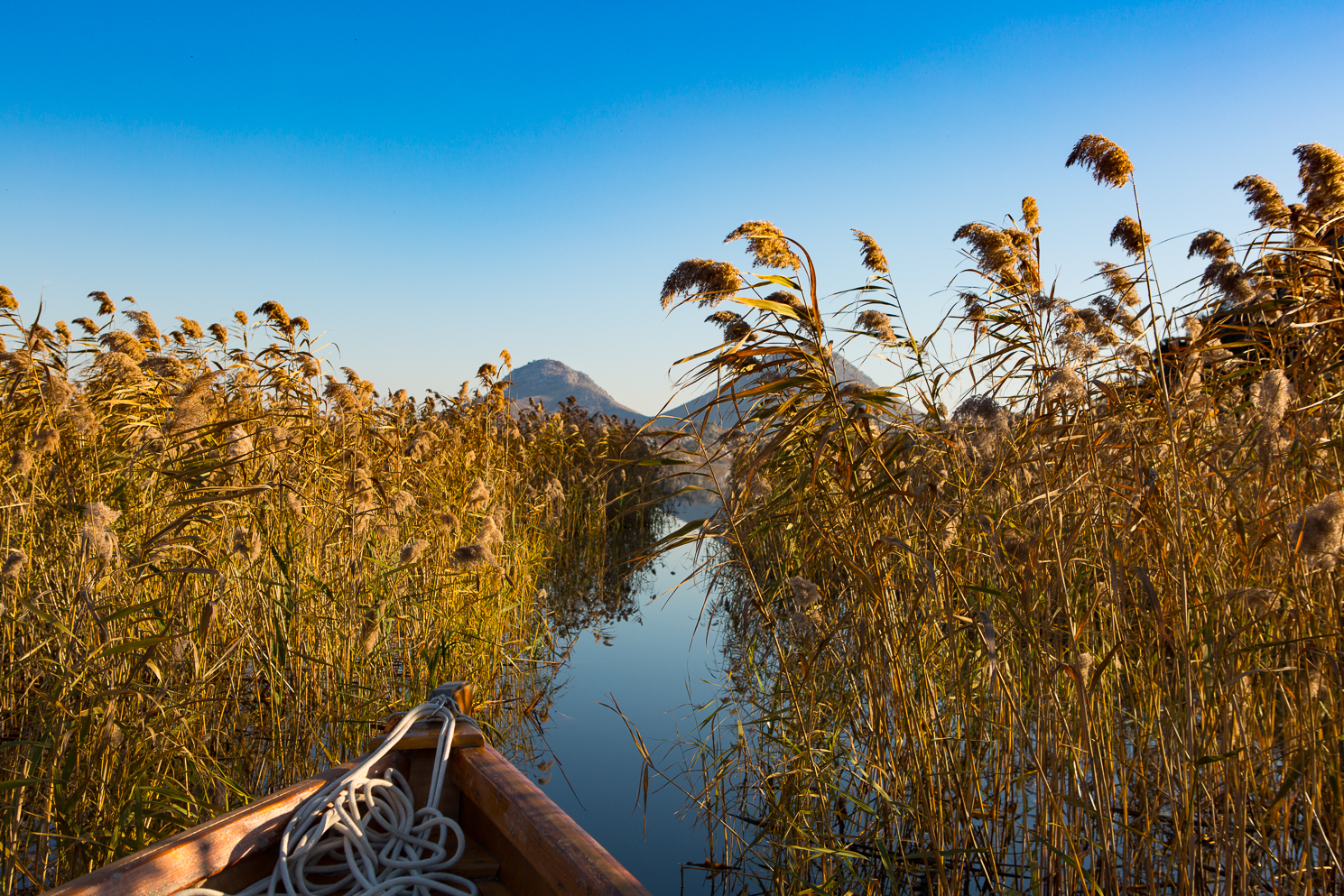 NATIONAL PARK SKADAR LAKE - Montenegro Travel Agency Adria Line