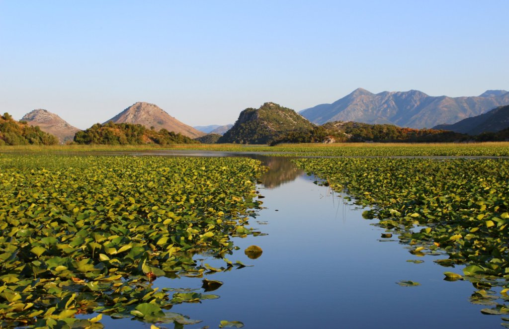 NATIONAL PARK SKADAR LAKE - Montenegro Travel Agency Adria Line