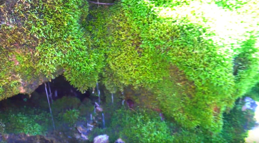 NATIONAL PARK PROKLETIJE - Montenegro Travel Agency Adria Line